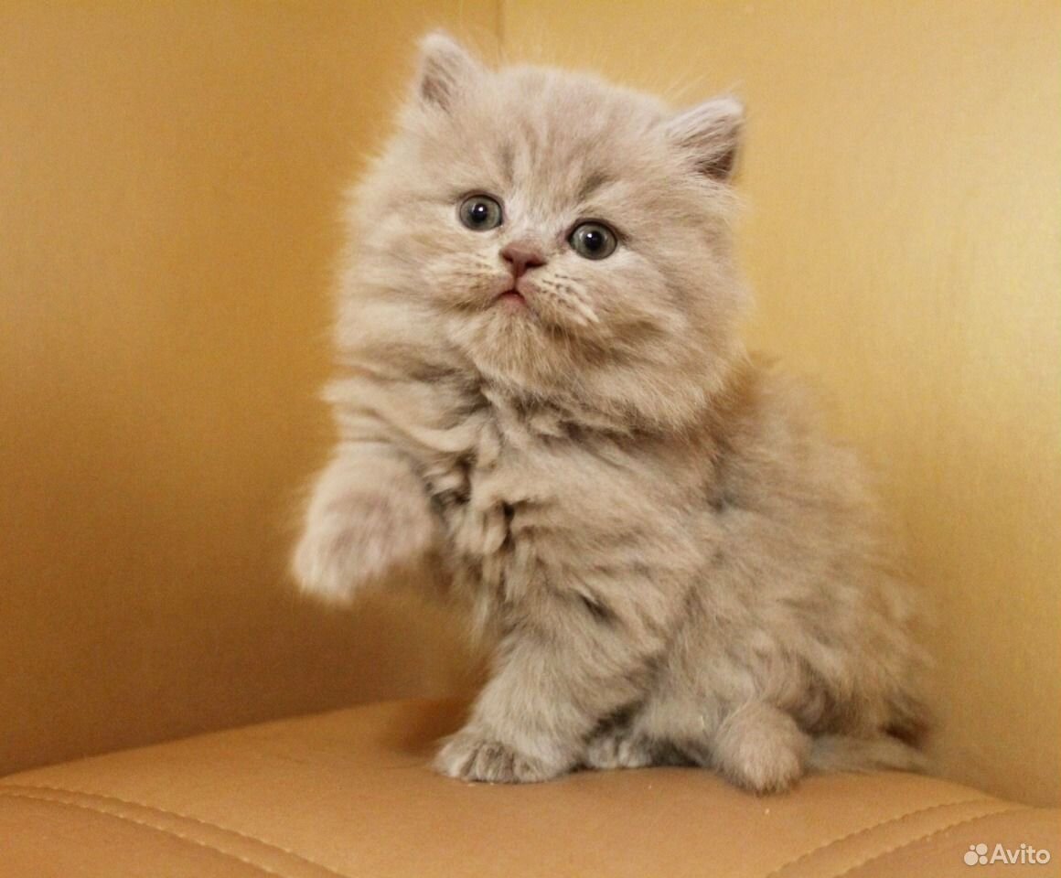Мальчик классный