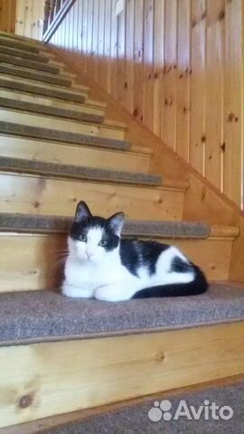 Фимочка в добрые ручки