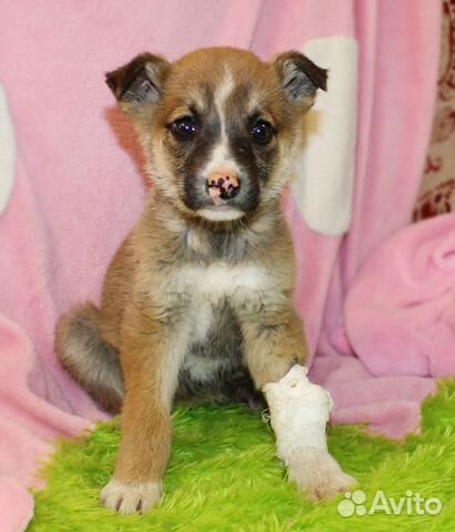 Малыши Джолин и Чарли