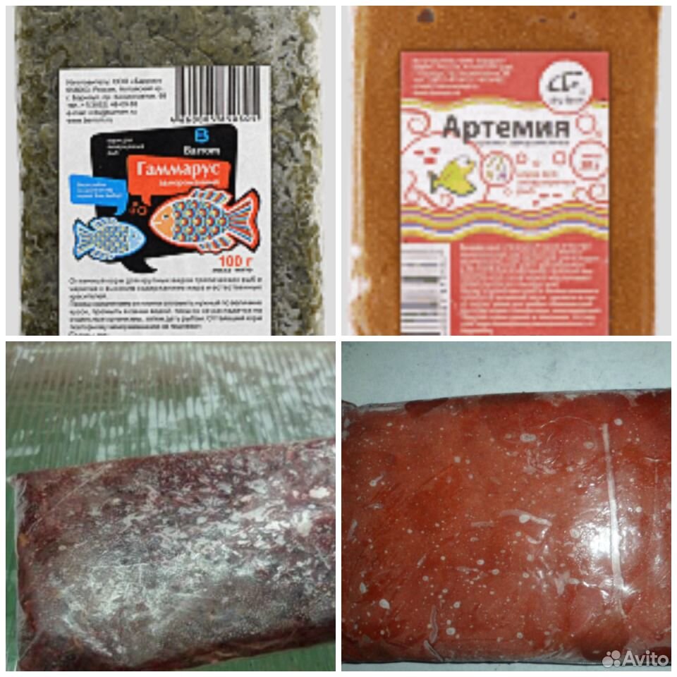 Заморозка мотыль,дафния,циклоп.артемия