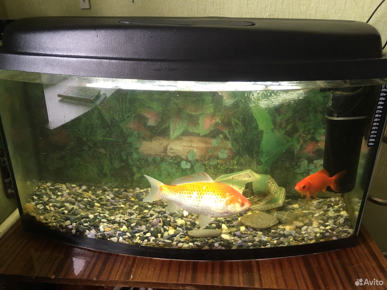 Аквариум со сферой 150л