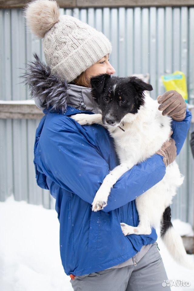 Отдаю миниатюрную Лори в добрые руки