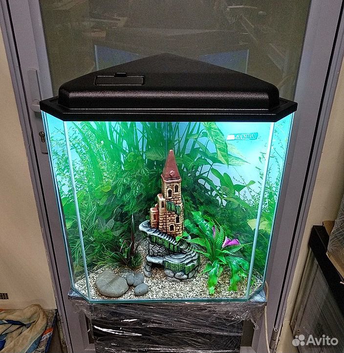 Аквариум