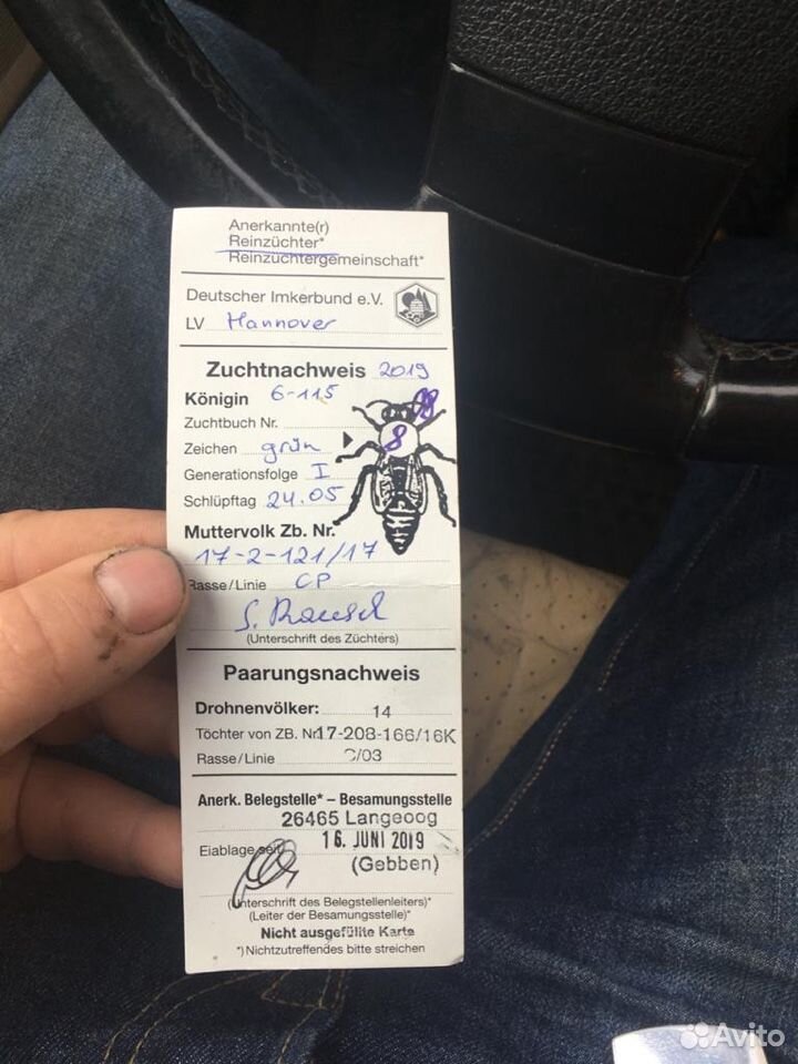 Пчелопакет с племенной маткой Карника(Германия)