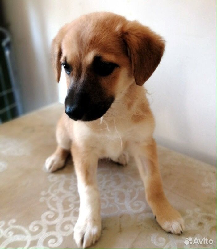 Две красотки-Мама и дочурка