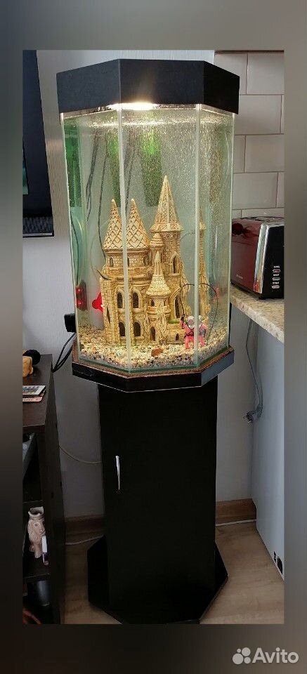 Аквариум