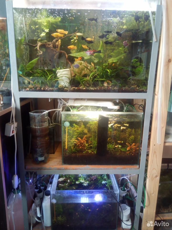 Аквариумы 3шт и стойка