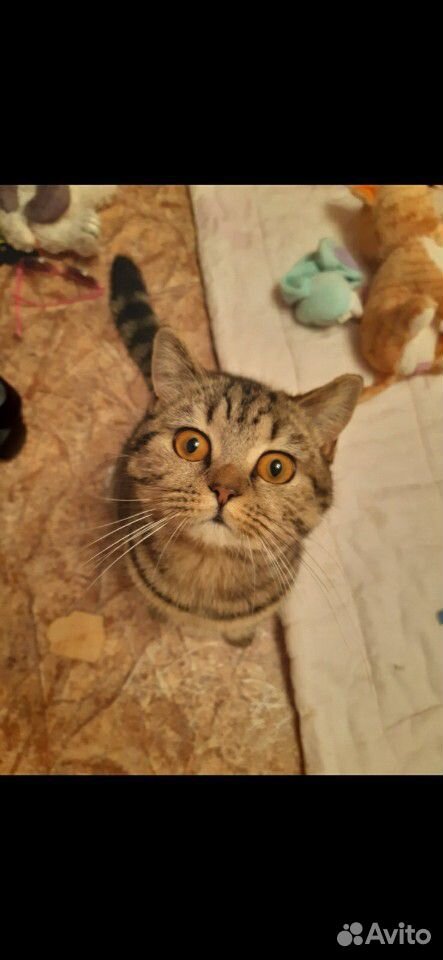 Европейская