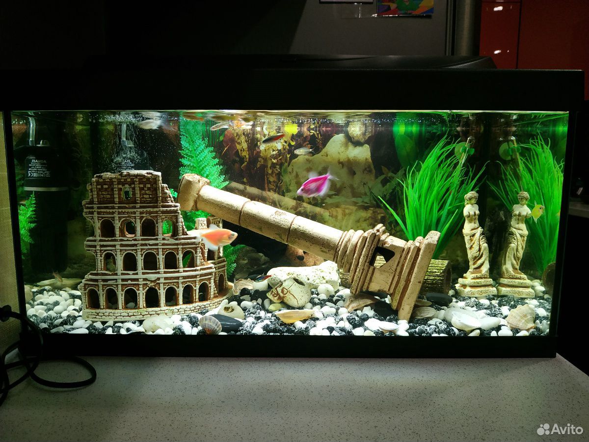 Аквариум