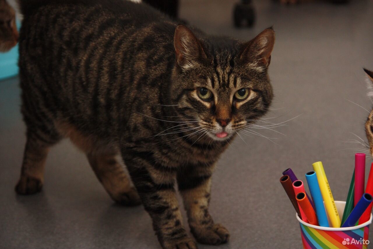 Олеся В Частный Дом