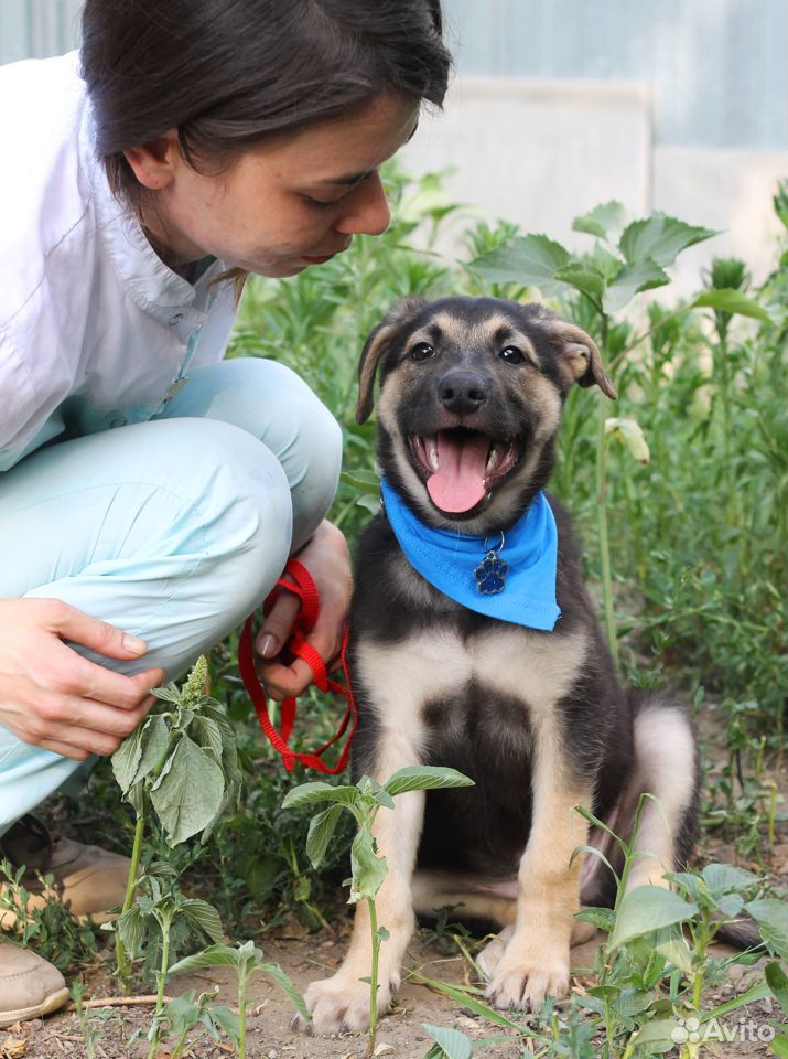 Веселый парнишка Гутя