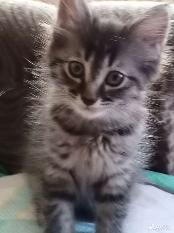 Маленький чертенок