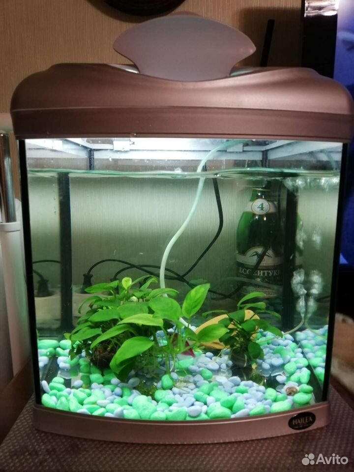 Аквариум