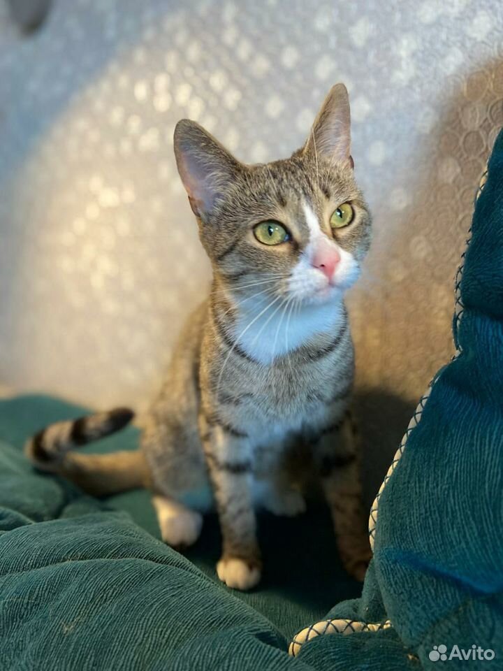 Малена-себе на радость, друзьям на зависть)