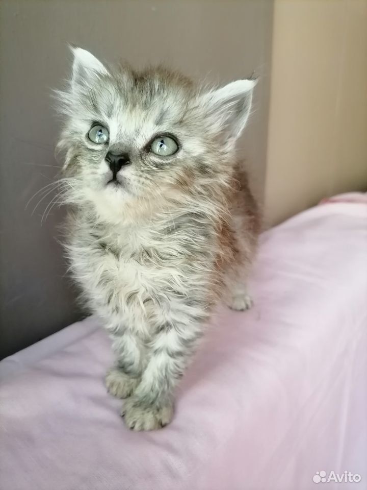 Шикарный парень