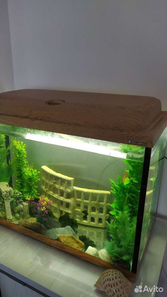 Аквариум