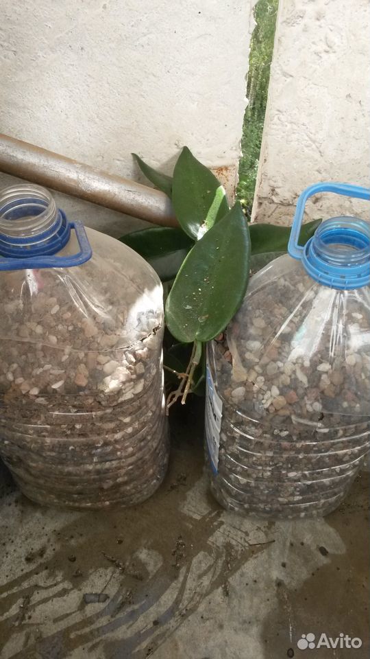 Грунт для аквариума