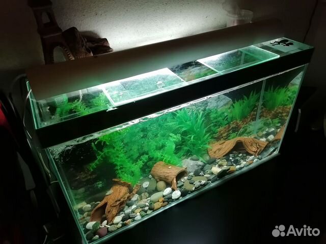 Аквариум