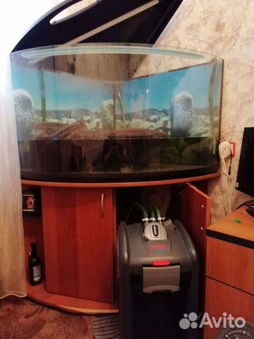 Аквариум понарамный