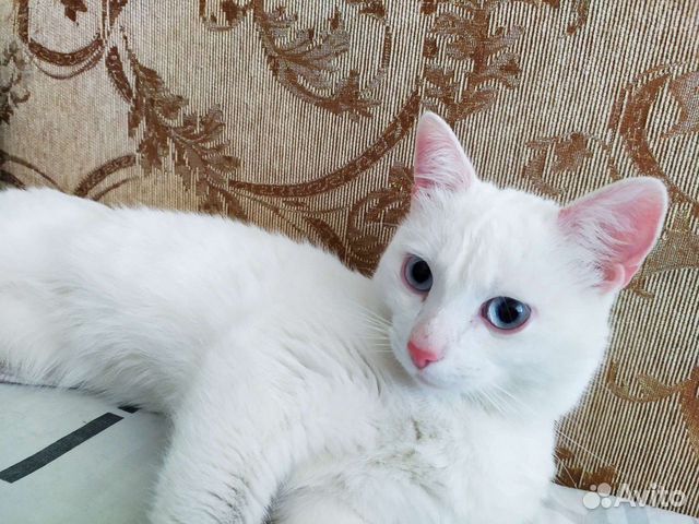 Снеговичок Олаф в хорошие руки