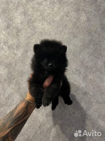 Девочки помочки