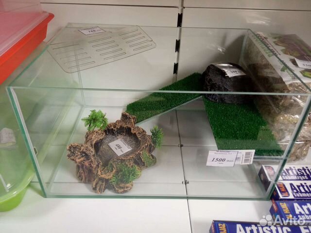 Черепашник