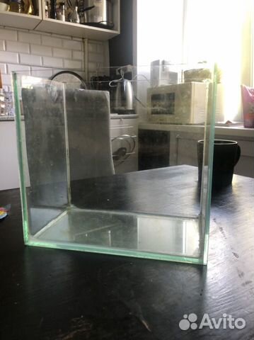 Аквариум с рыбками