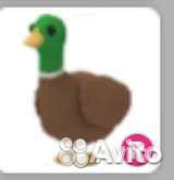 Петы адопт ми