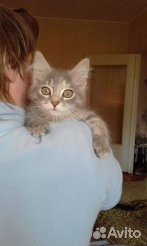 Малышка Жасмин ищет дом