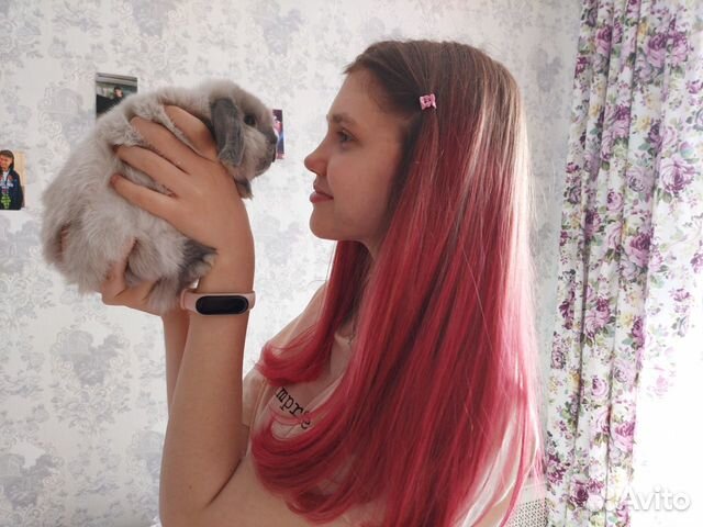 Отдам в добрые руки кролика