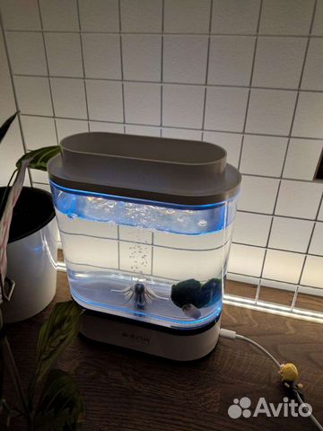 Аквариум xiaomi