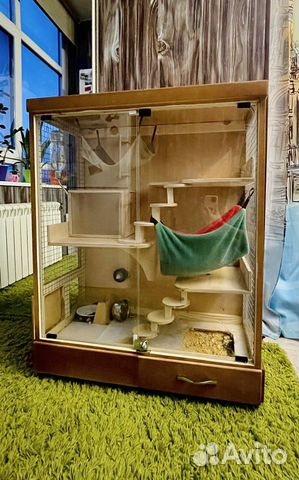 Хорек с домом