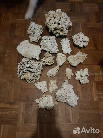 Камни для аквариума. Были в Морском аквариуме