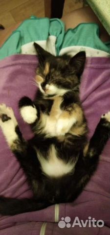 Очаровательная девчонка