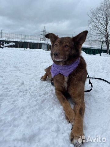 Малышка одинока заберите ее домой