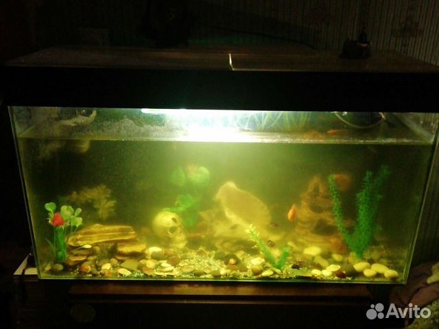 Аквариум