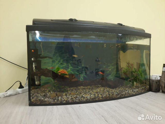 Аквариум 125л с крышкой, светом, фильтром, рыбками