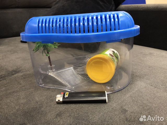 Аквариум для черепах