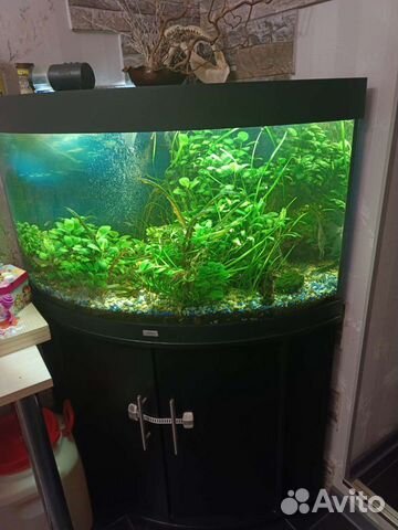 Аквариум с тумбой 190 литров Ювель