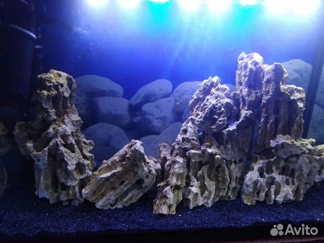 Песчаник крымский для цихлид