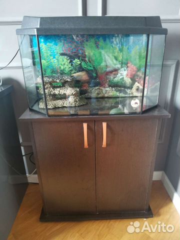 Аквариум