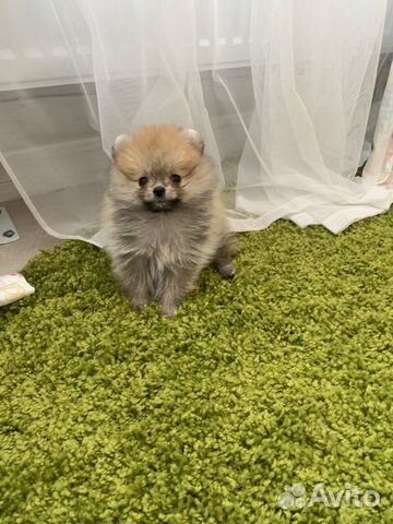 Мини малышка