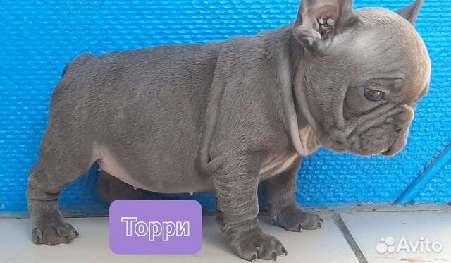 Сладкие булочки