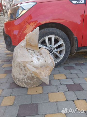 Биозагрузка