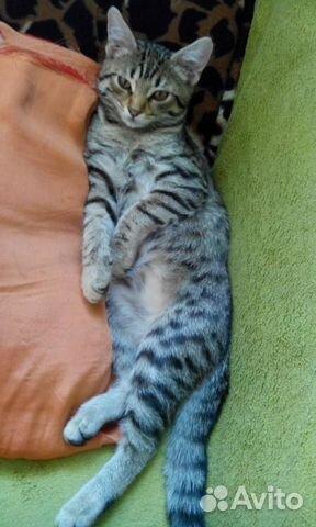 Отличный парень Тимоша