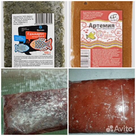 Заморозка мотыль,дафния,циклоп.артемия
