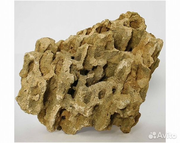 Кораллы и меотис для аквариума