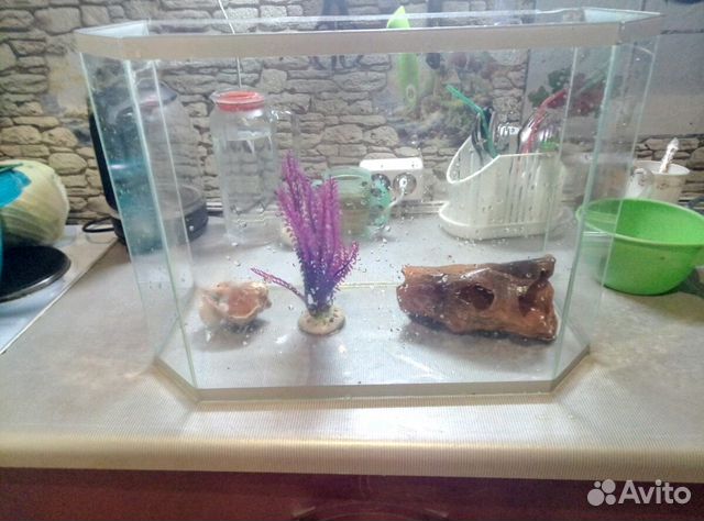 Аквариум на 30 литров
