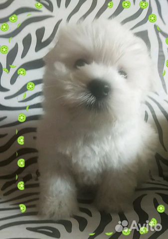 Супер-малыши