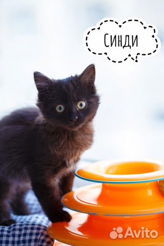 Синди и Камила